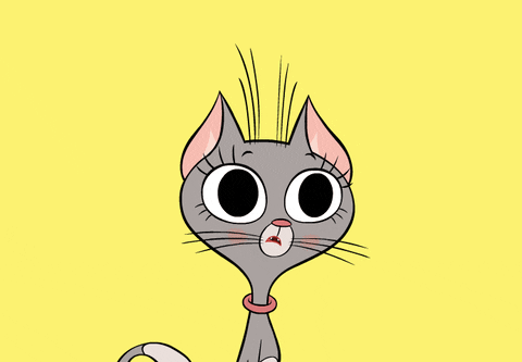 Tgif Cat Gif