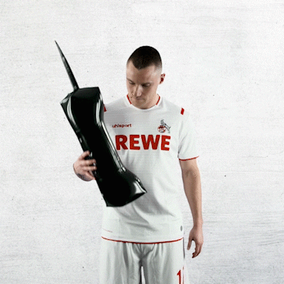 1 Fc Cologne Sport GIF by 1. FC Köln - Find & Share on GIPHY