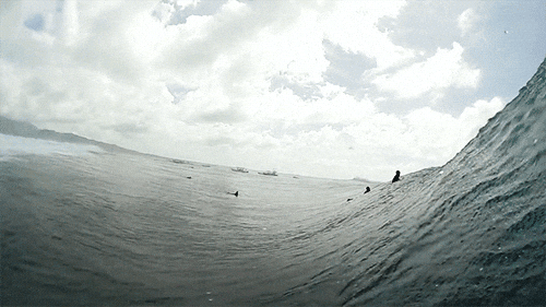 Micronesia GIFs - Get the best GIF on GIPHY