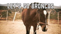 Arriba-los-broncos GIFs - Get the best GIF on GIPHY