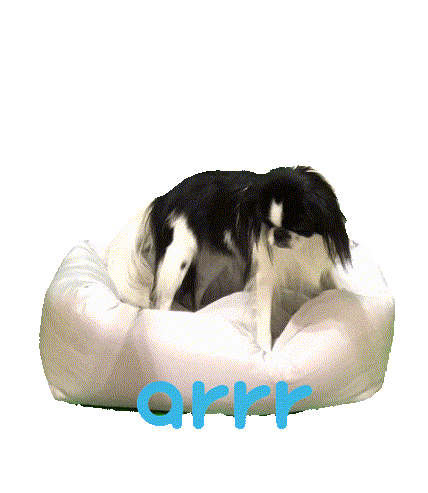 아르르 Sticker by arrr_official for iOS & Android | GIPHY