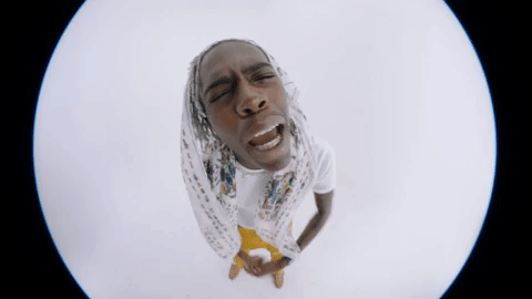 Shenanigans Fish Eye GIF by JASIAH - Find & Share on GIPHY