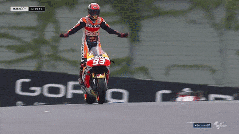 Number One Celebration GIF by MotoGP - Find & Share on GIPHY