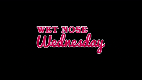 Wet Wednesday GIFs - Get the best GIF on GIPHY