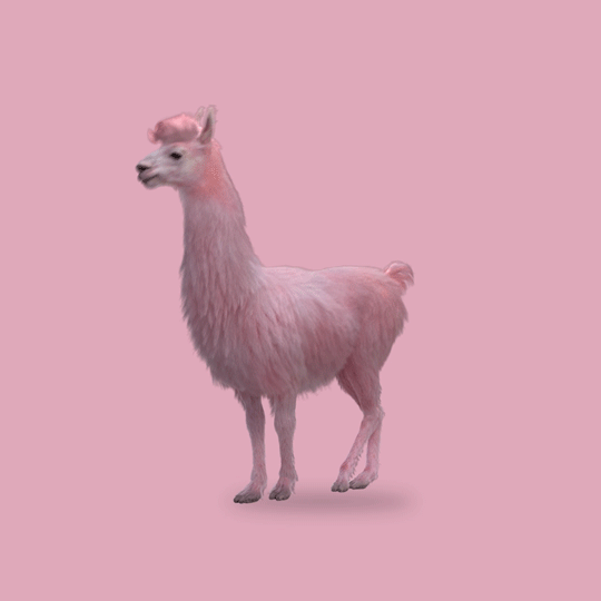 Animiertes Lama Gif