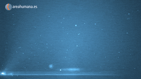 Aprender A Manejar GIFs - Get the best GIF on GIPHY