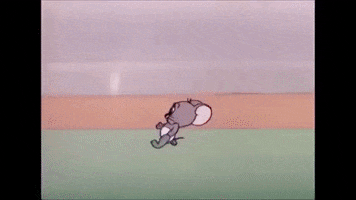 Tom And Jerry Fight GIFs - Find & Share on GIPHY