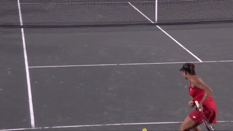 WTA GIF - Find & Share on GIPHY