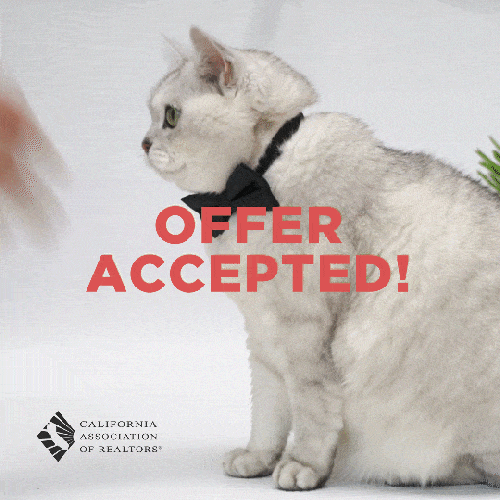 Offer Accepted GIFs - Get the best GIF on GIPHY