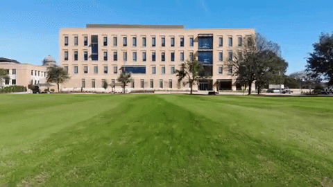 Texas Am College GIF by Texas A&M University - Find & Share on GIPHY