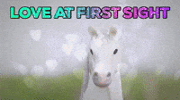 Love At First Sight Gif