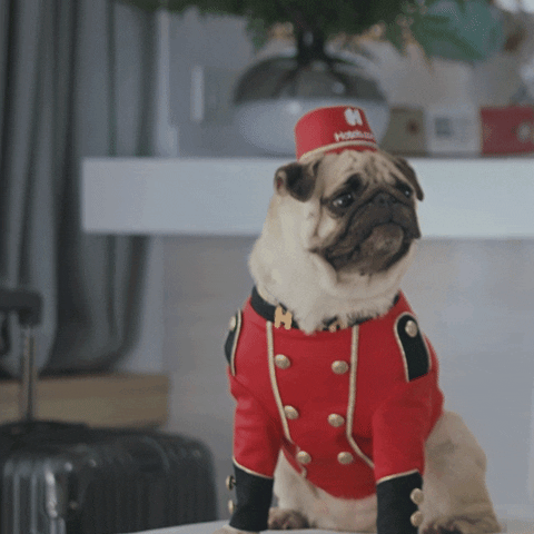 Uh Huh Smile GIF by bellpughotelscom - Find & Share on GIPHY
