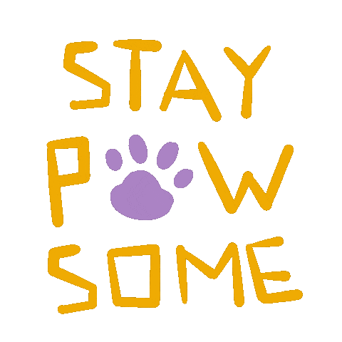 Cat Yes Sticker for iOS & Android | GIPHY