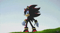 Shadow The Hedgehog Animated Gif
