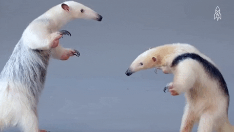 So Awk GIFs - Get the best GIF on GIPHY