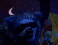 Mapache Cohete Gif Animado