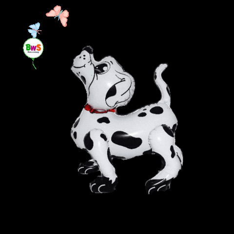 Bws GIFs - Get the best GIF on GIPHY