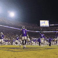 LSU Football GIFs on GIPHY - Be Animated
