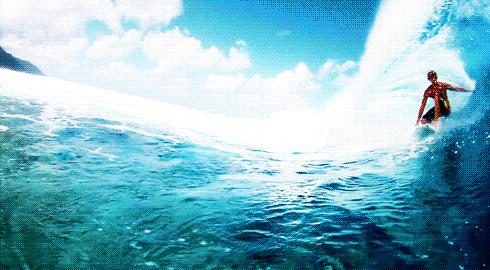 Surf GIF - Find & Share on GIPHY