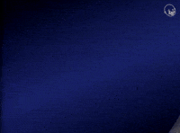 Previewing GIFs - Get the best GIF on GIPHY