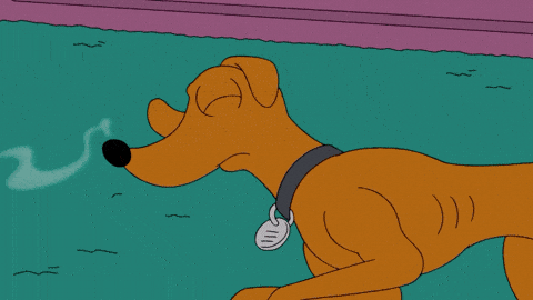 The Simpsons Dog GIF by Animation Domination - Find & Share on GIPHY