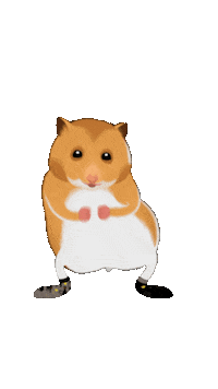 Hamster Dance Gif