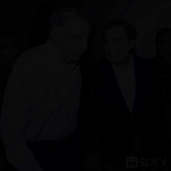 Spini GIF - Find & Share on GIPHY