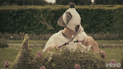 Cro GIFs - Get the best GIF on GIPHY