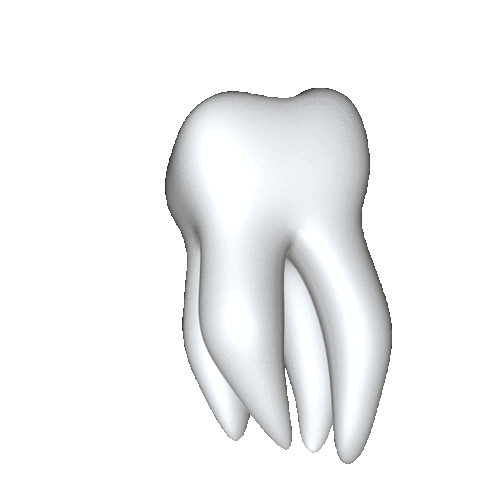 Yorkshire Dental Suite GIFs on GIPHY - Be Animated