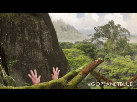 See Look GIFs - Get the best GIF on GIPHY