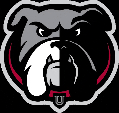 College Mascot GIF by Union University - Find & Share on GIPHY