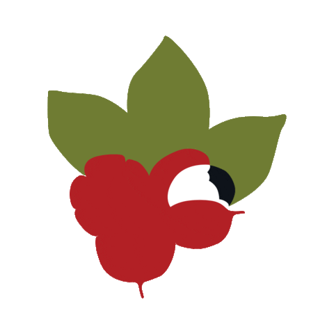 Carrefour Brasil GIFs on GIPHY - Be Animated