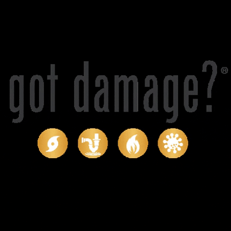 Got-damage GIFs - Get the best GIF on GIPHY
