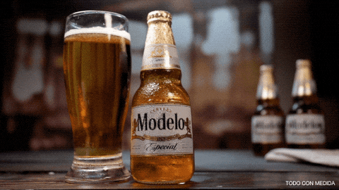 Modelo Beer GIFs - Get the best GIF on GIPHY
