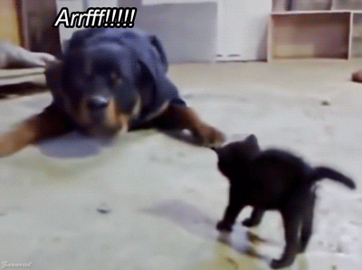 Bamf S GIFs - Get the best GIF on GIPHY