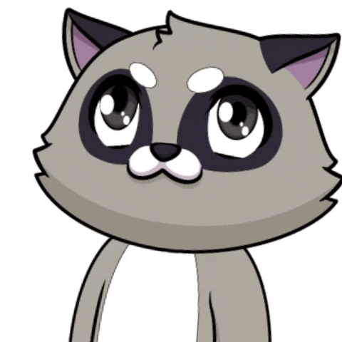 Baby-racoon GIFs - Get the best GIF on GIPHY