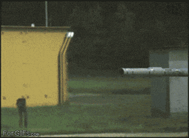 Slow Motion GIFs - Find & Share on GIPHY