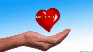 Multumesc! - GIFs & Stickers by echilibrultau | GIPHY