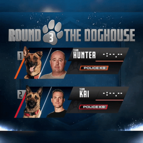 Police K9 GIFs - Get the best GIF on GIPHY