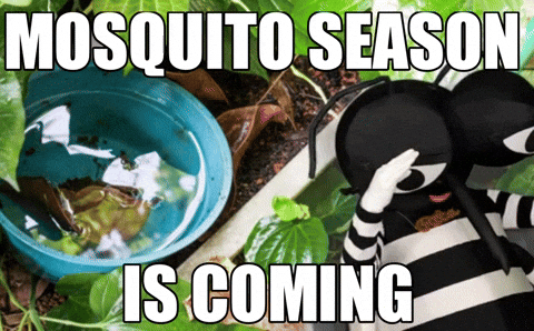 Mosquito Bite GIFs - Get the best GIF on GIPHY