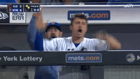 Celebrate New York Mets GIF by SNY - Find & Share on GIPHY