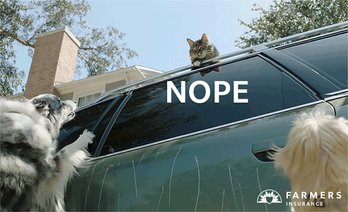Farmers Insurance ® GIF - Find & Share on GIPHY