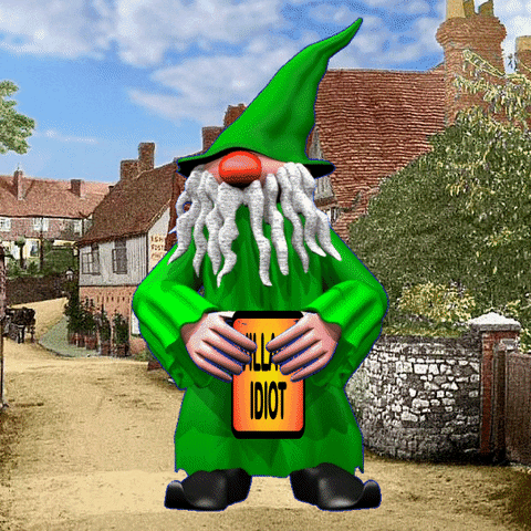 Idiot Gif
