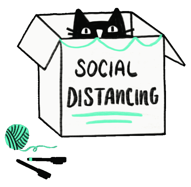 Cat Hiding Sticker for iOS & Android | GIPHY