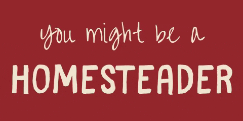 Homestead GIFs - Get the best GIF on GIPHY