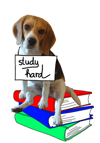 Dog Studying Gif