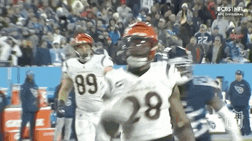 NFL Divisional Round: Bengals VS Titans 9 GIF Recap! by Sports GIFs | GIPHY