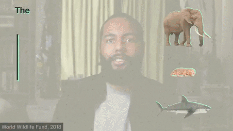 Index Funds GIFs - Get the best GIF on GIPHY