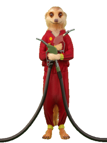 Spliff Seeds GIFs on GIPHY - Be Animated