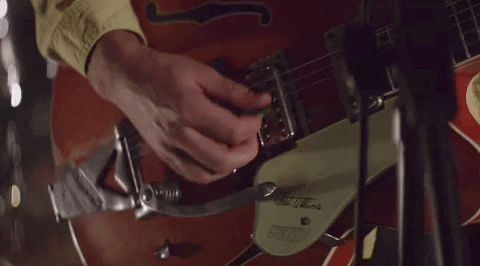 Pickguard GIFs - Get the best GIF on GIPHY